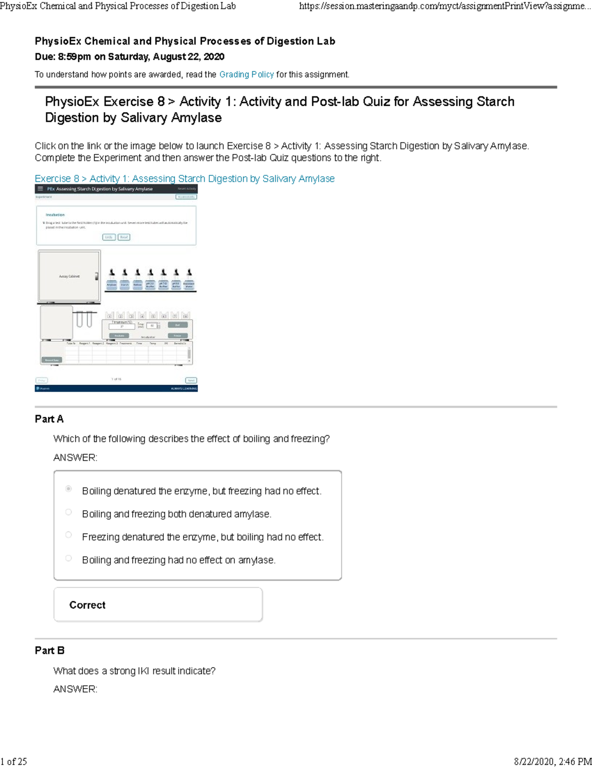PhysioEx 8 Lab: Chemical & Physical Processes of Digestion Analysis ...