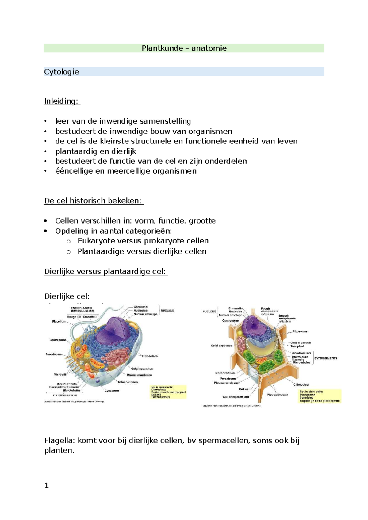 Plantkunde - Anatomie en Cytologie: Inleiding tot Celstructuur - Studocu