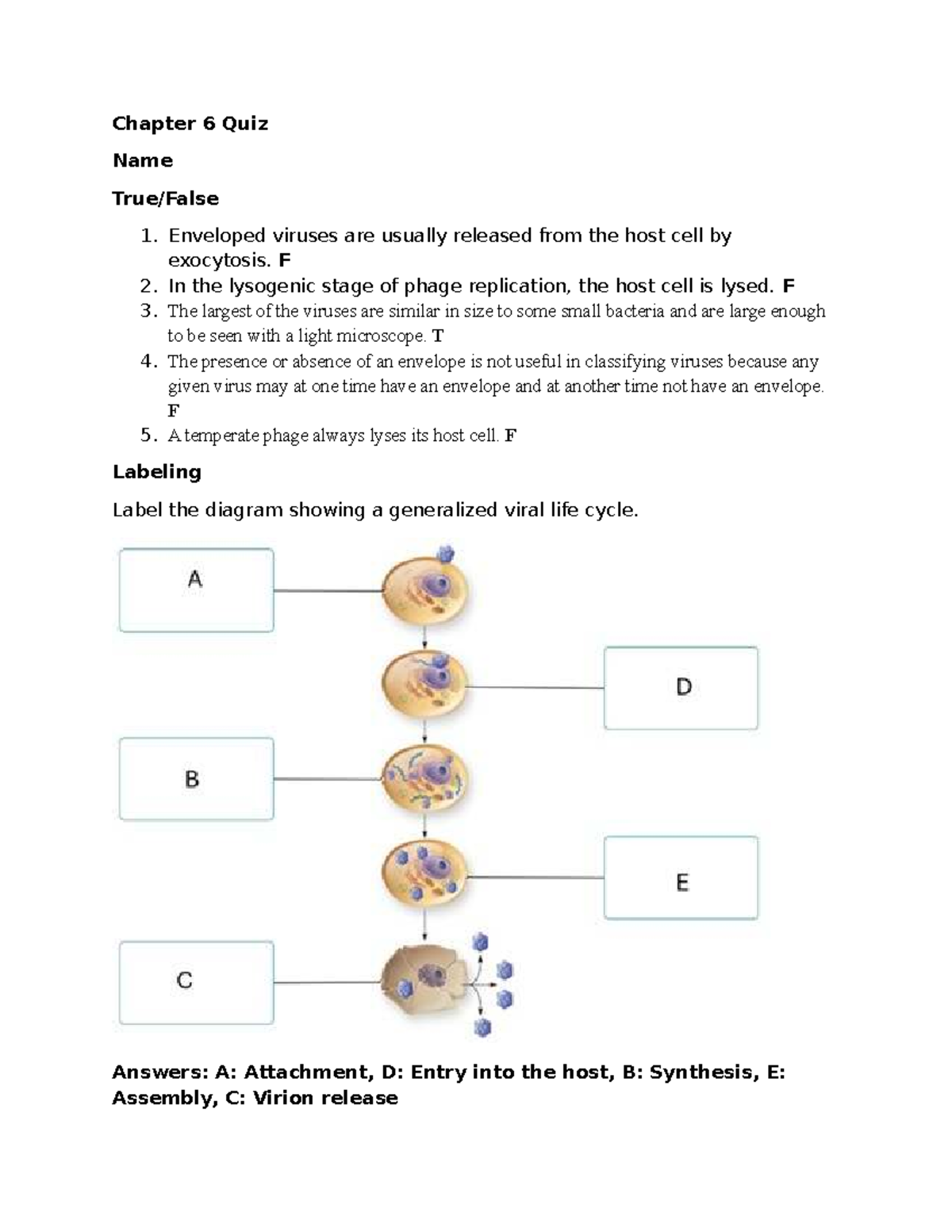 Chapter 6 Virology Quiz & Answers (Course Code: BIO101) - Studocu