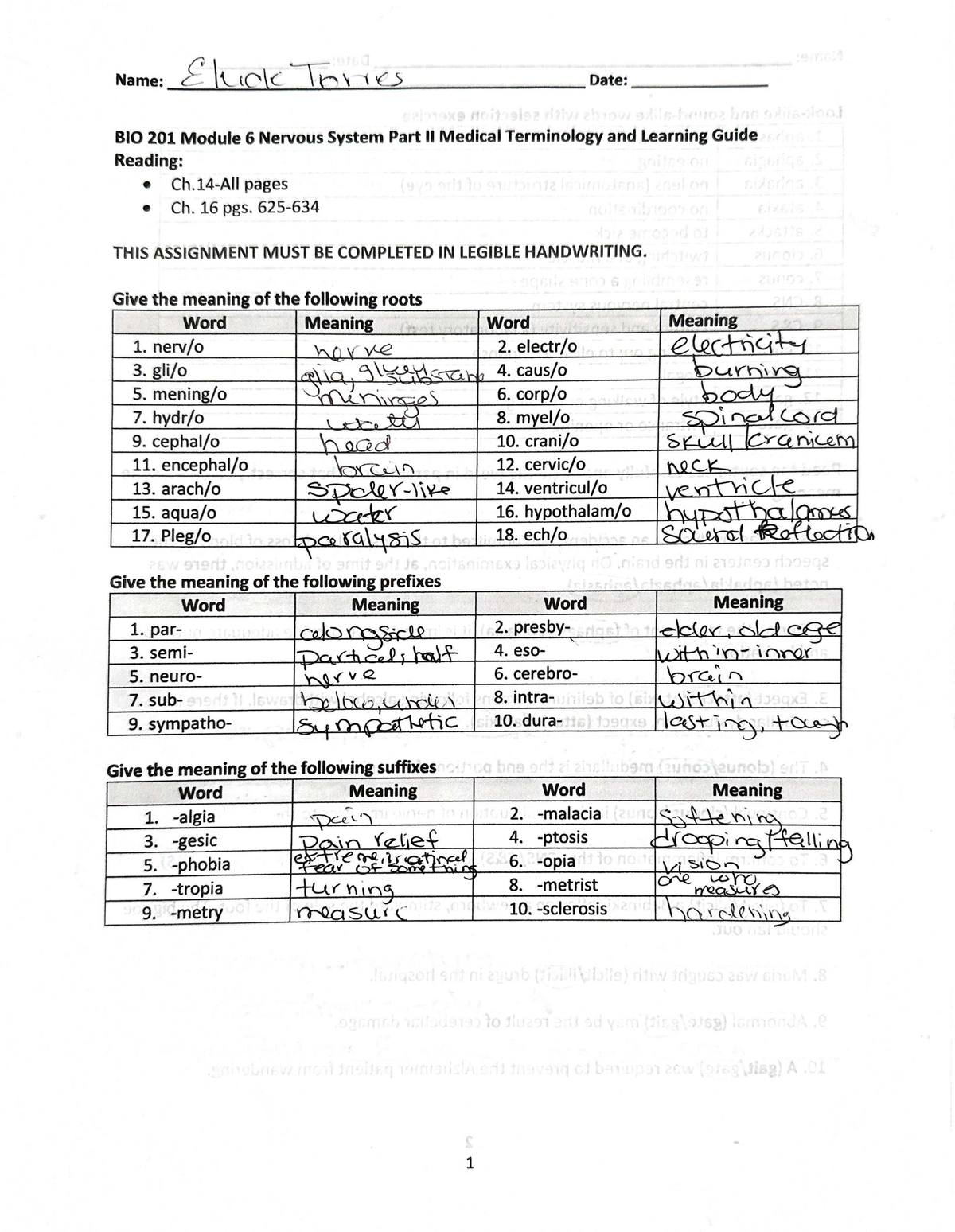 BIO 201 Module 6 Nervous System Part II: Medical Terminology Guide ...