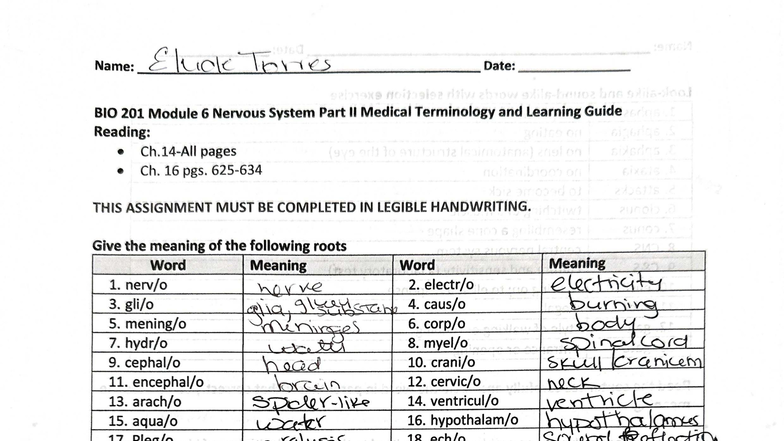 BIO 201 Module 6 Nervous System Part II: Medical Terminology Guide ...