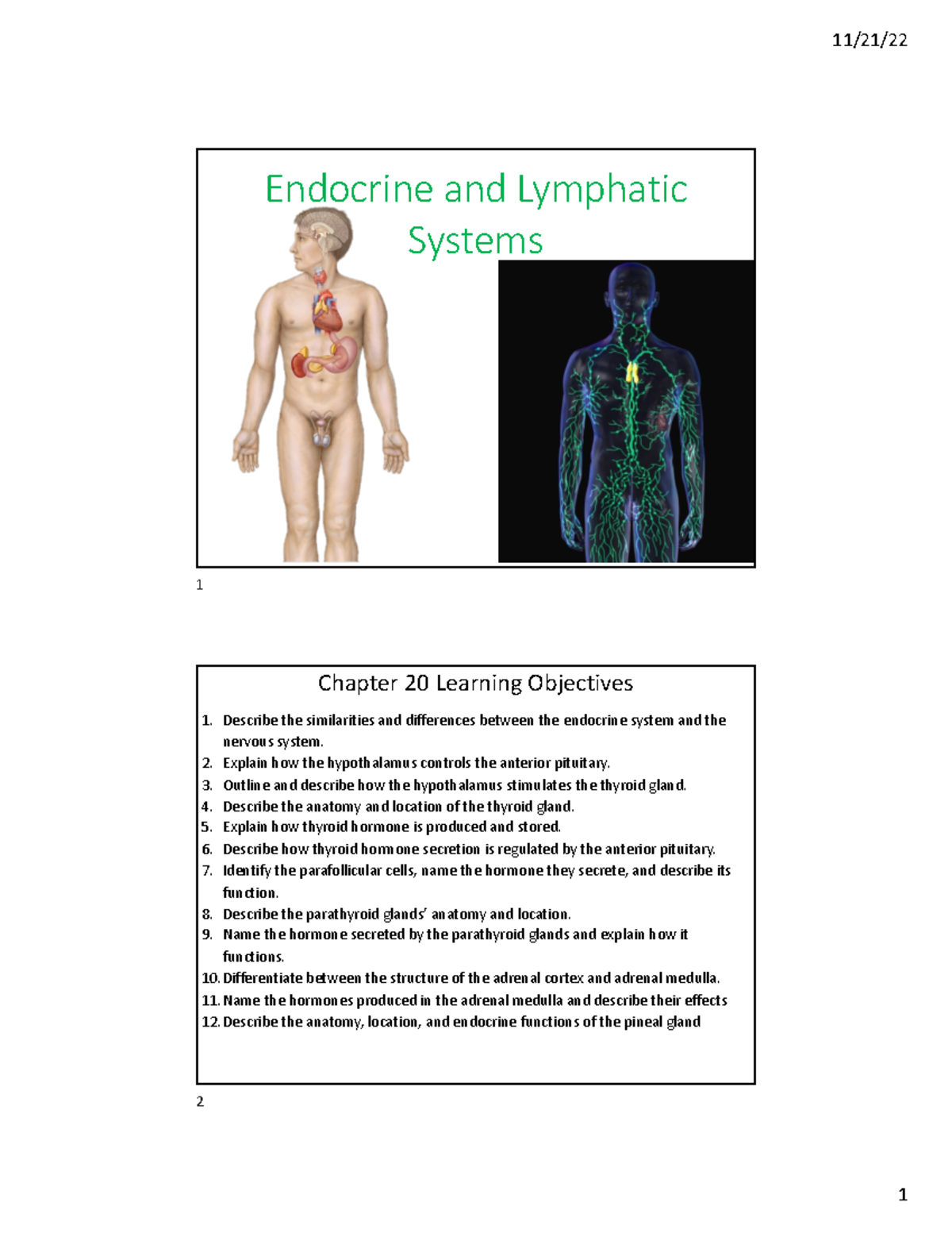 Lymphatic System Overview and Function (Course Code: Chapter 24) - Endocrine and Lymphatic ...