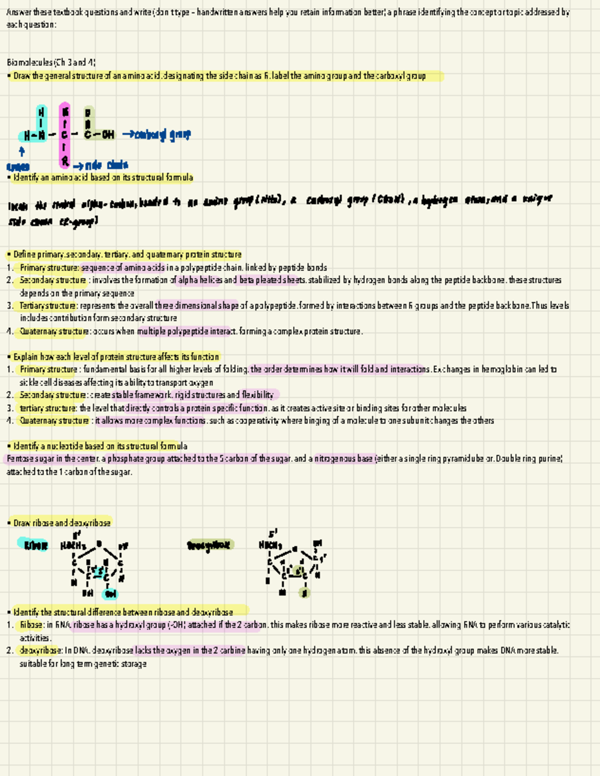 Cellular Respiration & Gas Exchange Review Notes (Ch 42 & 26) - Studocu