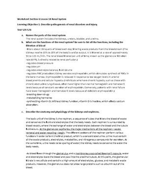 Title: "Pathophysiology Concepts and Clinical Perspectives – D236 ...