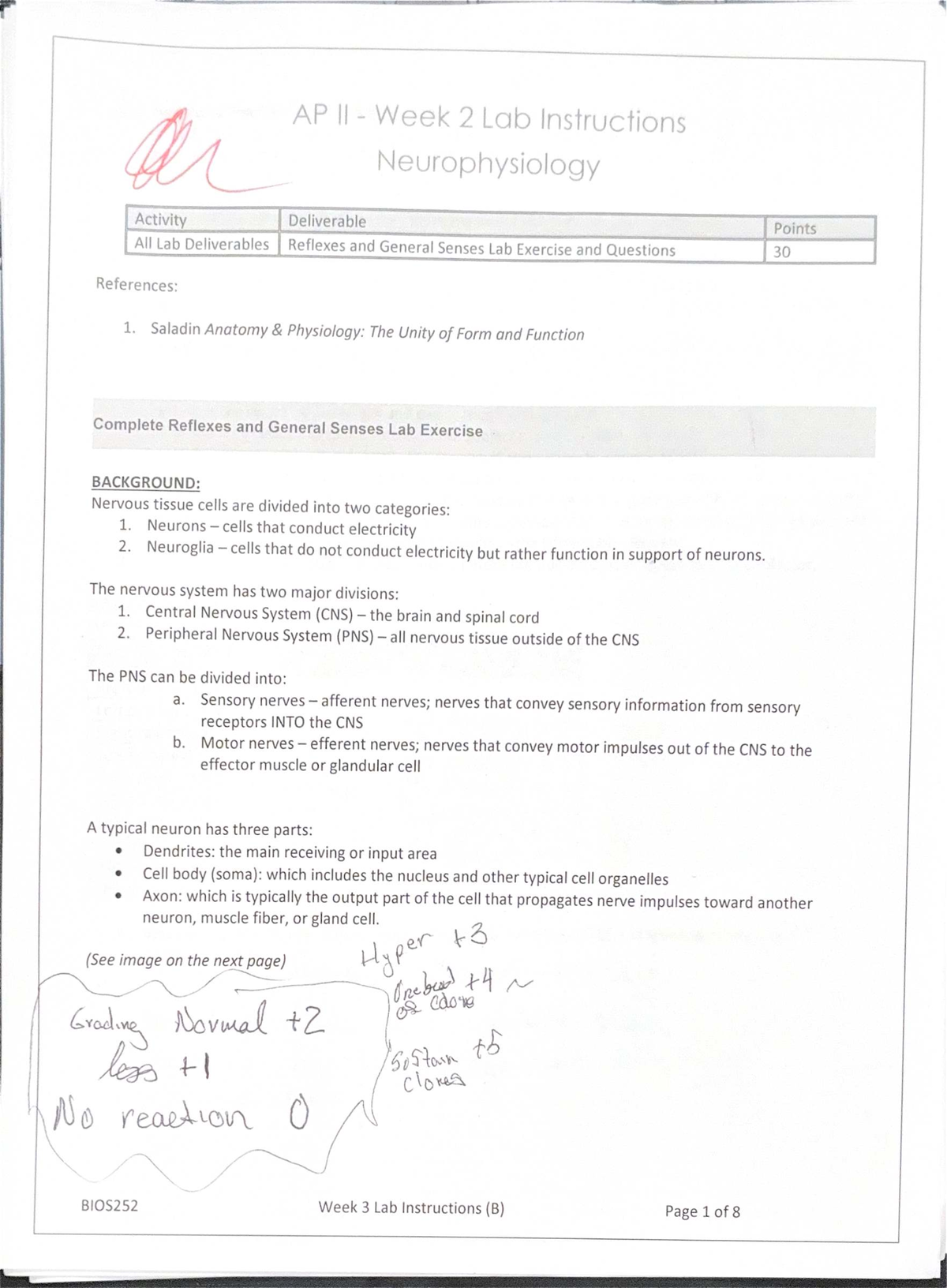 AP II BIOS252 Week 2 Lab: Neurophysiology Reflexes & Senses Guide - Studocu