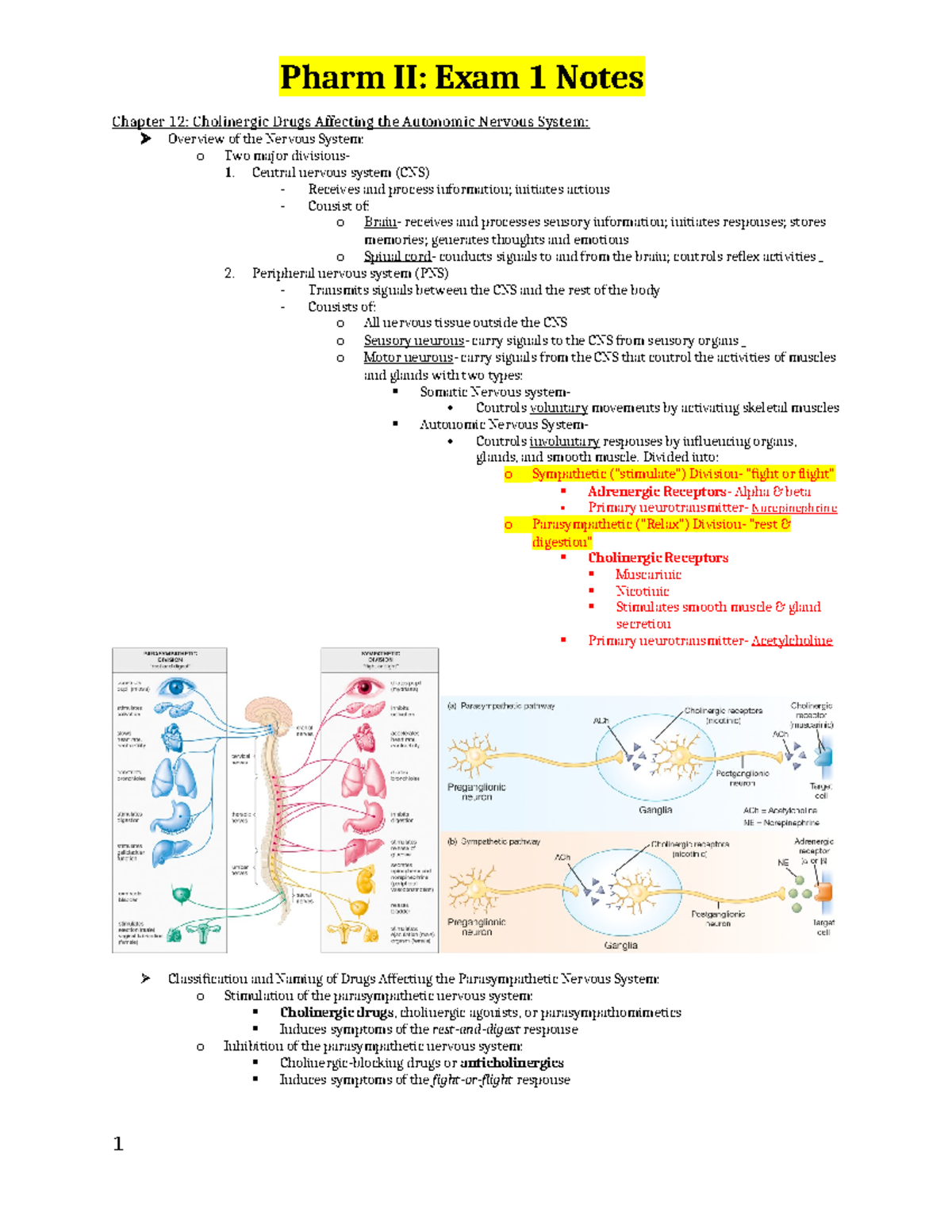Pharm II: Exam 1 Notes on Cholinergic and Adrenergic Drugs - Studocu