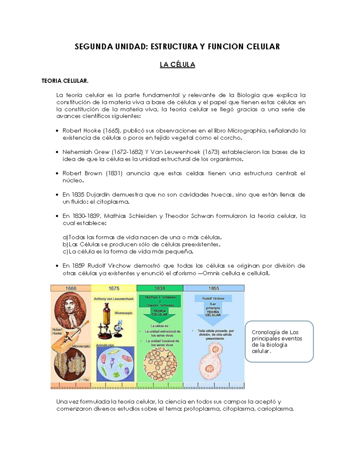 Estructura y funcion celular - SEGUNDA UNIDAD: ESTRUCTURA Y FUNCION ...