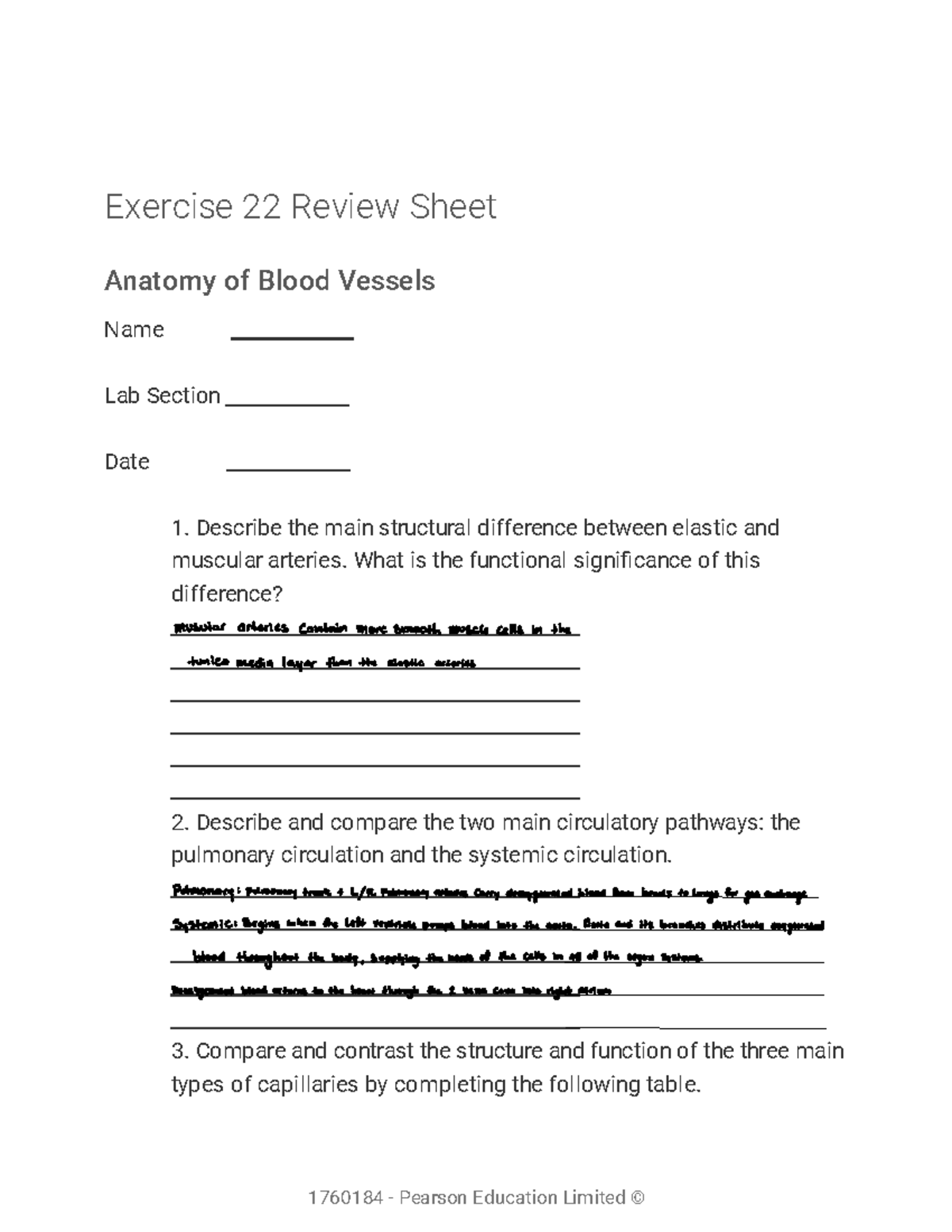 Lab Assignment: Chapter 22 Anatomy of Blood Vessels Review - Studocu