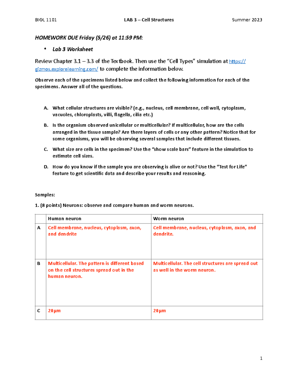 Lab 3: Study of Cell Structures and Types - Su23 Worksheet - Studocu
