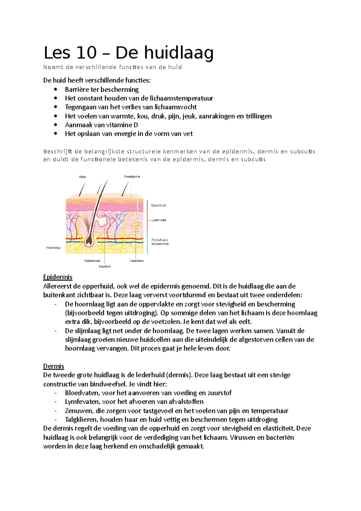 AFP2 Les 10: Functies en Structuur van de Huidlagen - Studeersnel