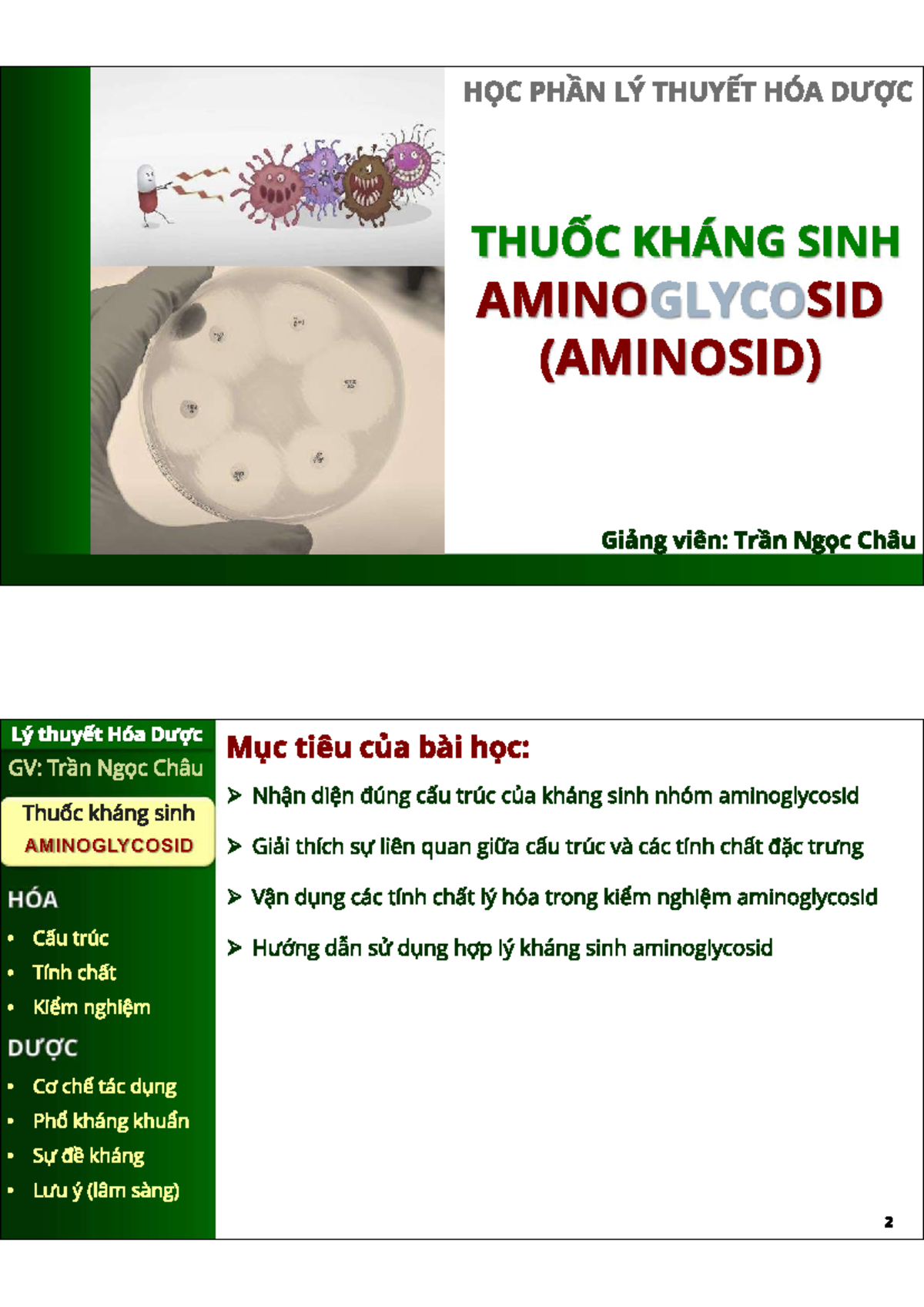 Aminoglycosides: Overview and Key Insights (Handout) - Studocu