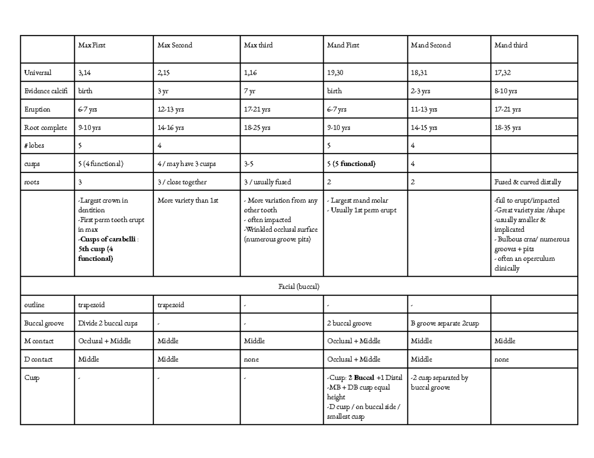 Molar Chart for Maxillary & Mandibular Teeth - Studocu