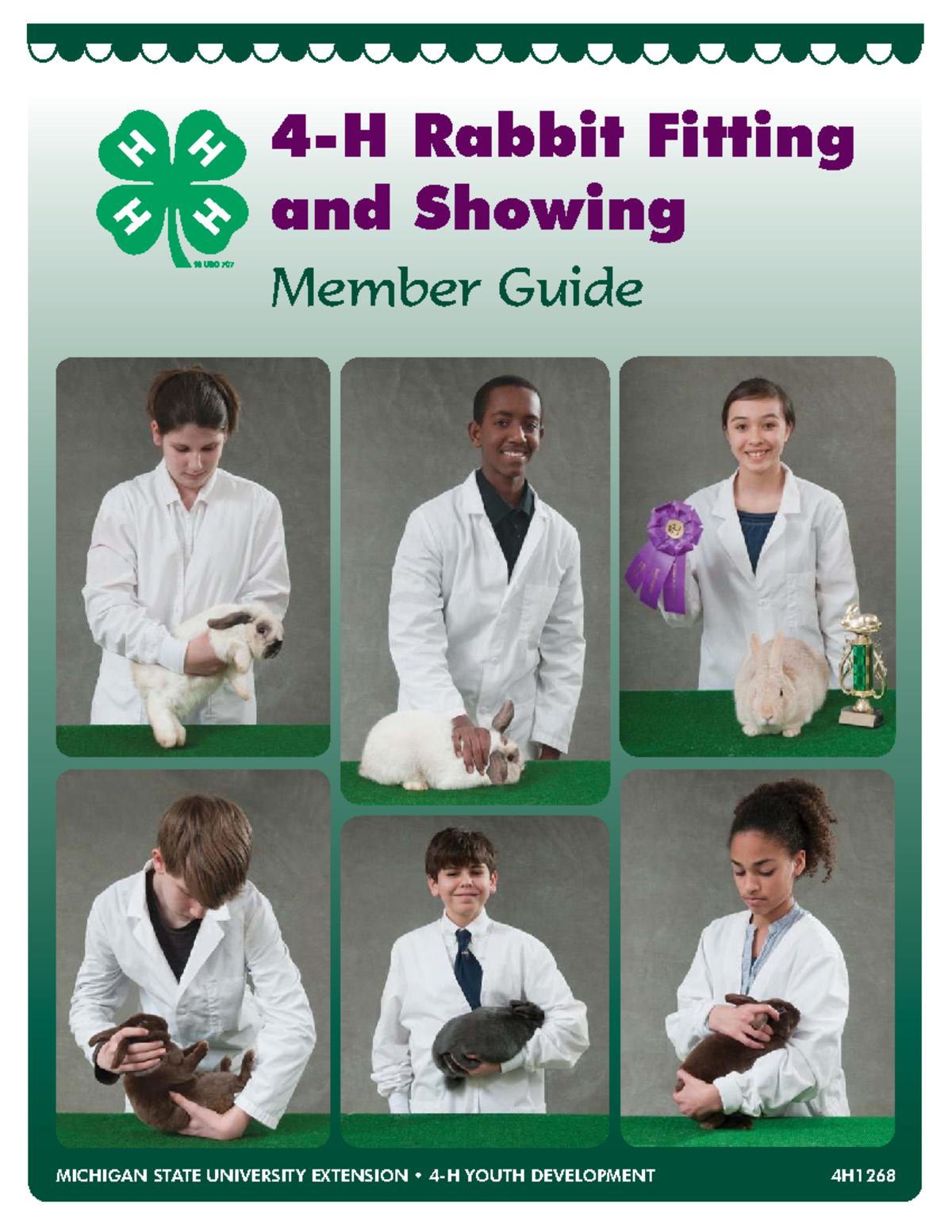 4-H Rabbit Fitting and Showing Guide - MICHIGAN STATE UNIVERSITY ...