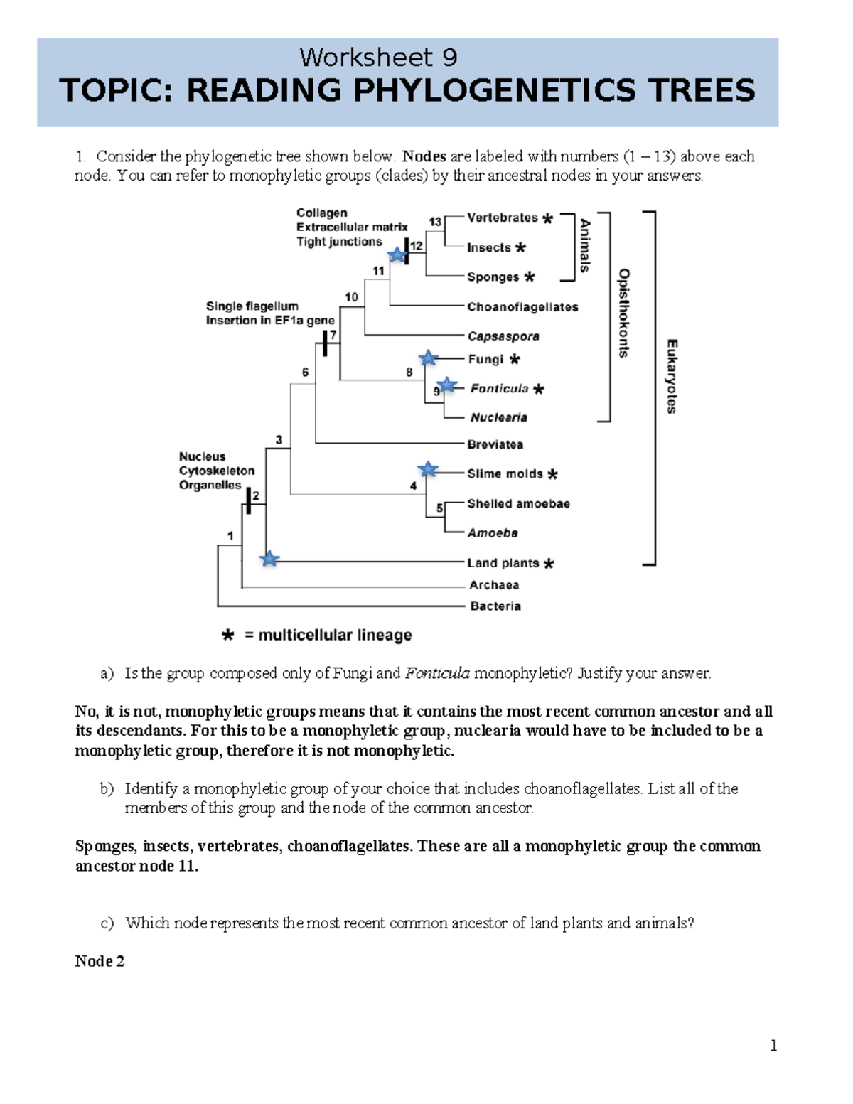 Worksheet #9: Analysis of Phylogenetic Trees in Biology 121 - Studocu