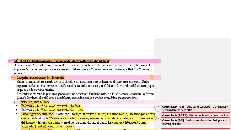 NÚCLEO 1: Embriogénesis y Desarrollo Fetal - Apunte 1 Parcial - Studocu