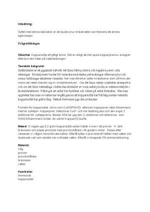 Labbrapport exempeltext 7 9 gy 1 3 naturvetenskap teknik - NoK ...