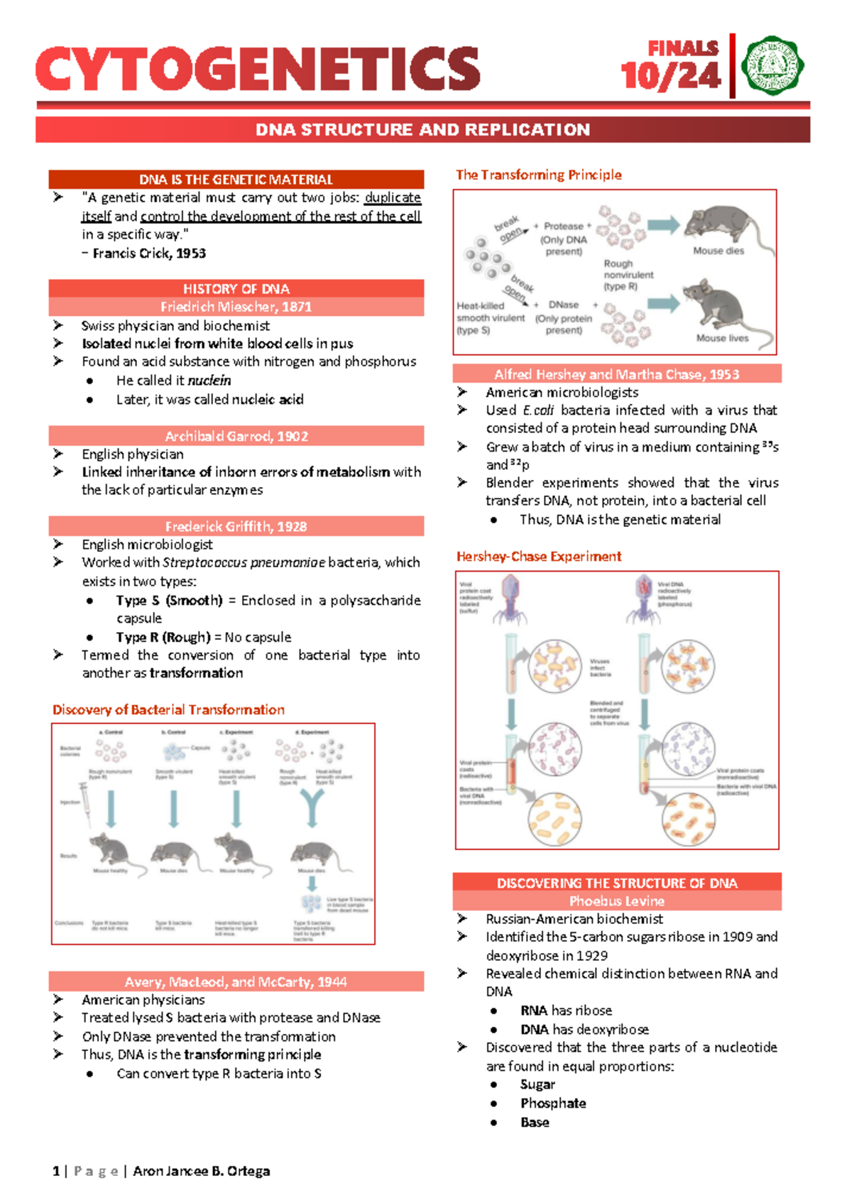 Lesson #1 - DNA Structure and Replication - DNA IS THE GENETIC MATERIAL ...