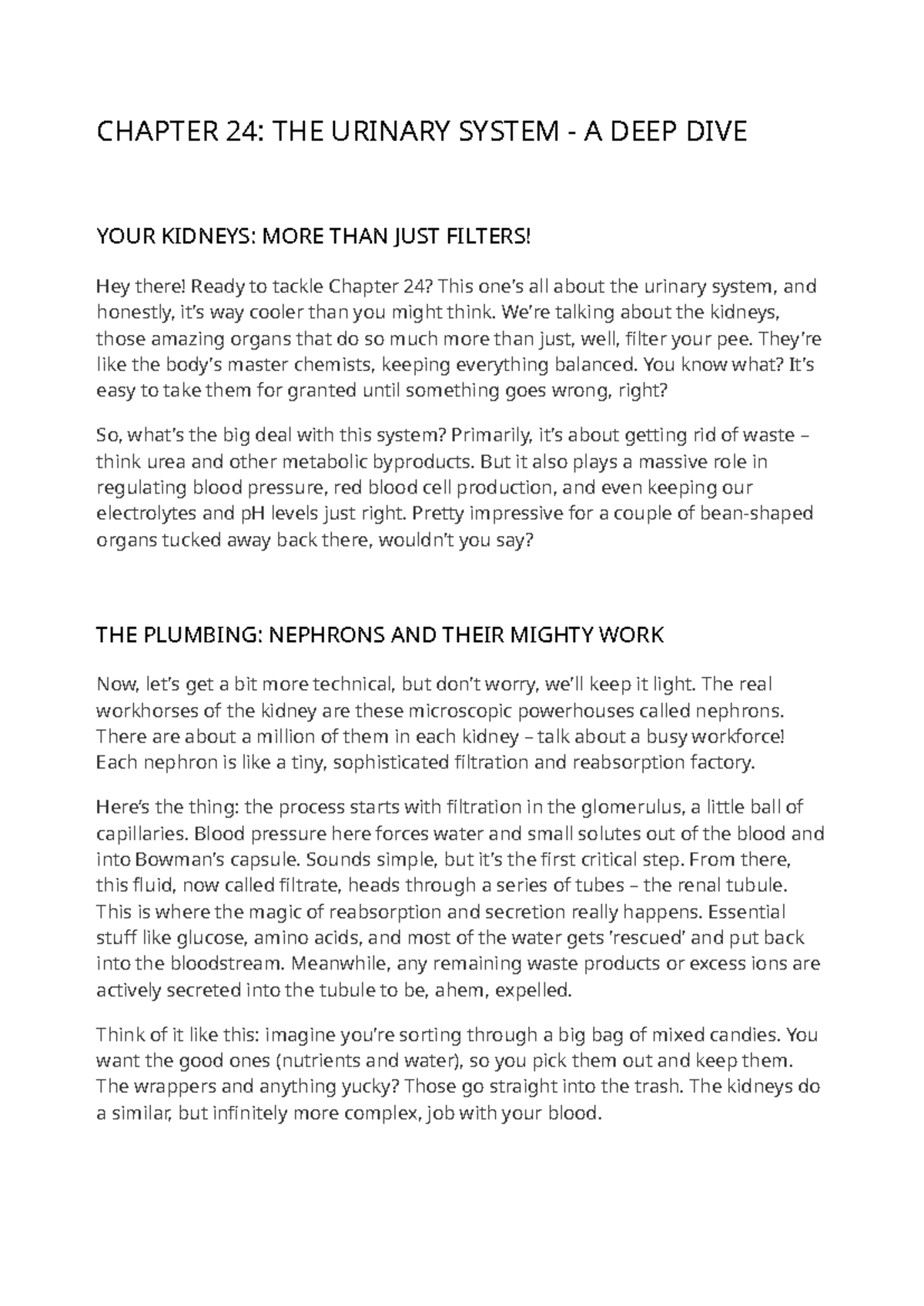 Anatomy & Physiology CH24: The Urinary System Explained - Studocu