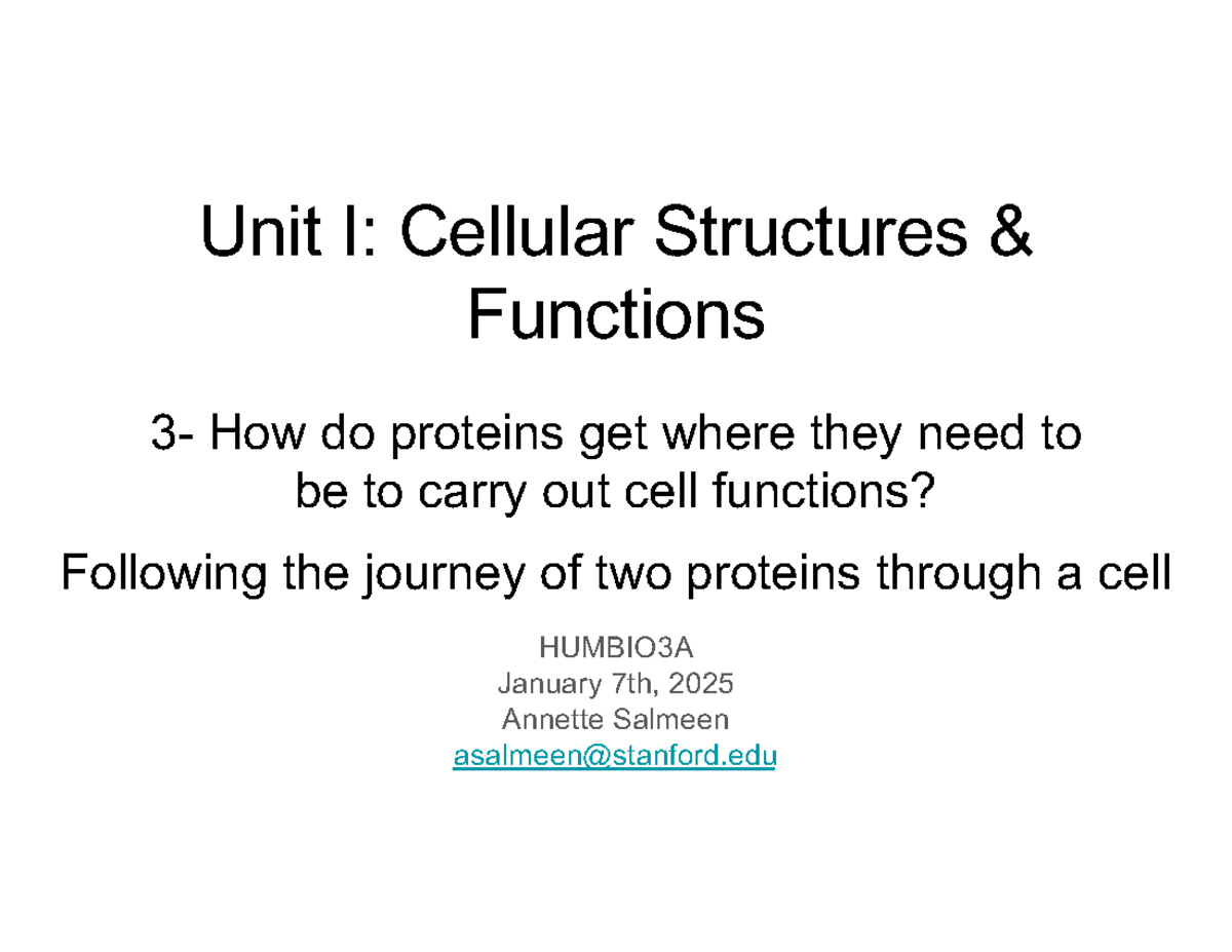 Understanding Signal Peptides in Protein Localization - HUMBIO3A ...