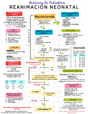 4. VPP - Resumen Reanimacion Neonatal / Neonatal Resuscitation ...