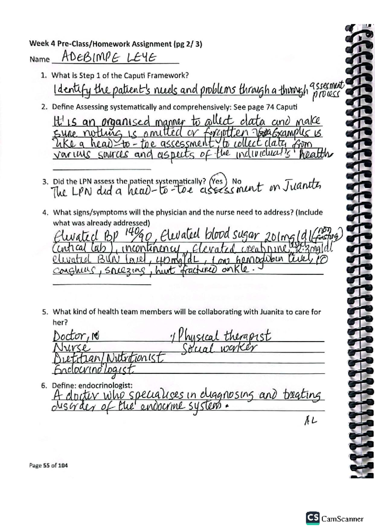 Critical Thinking Week 4 Assignment: Caputi Framework & Patient ...