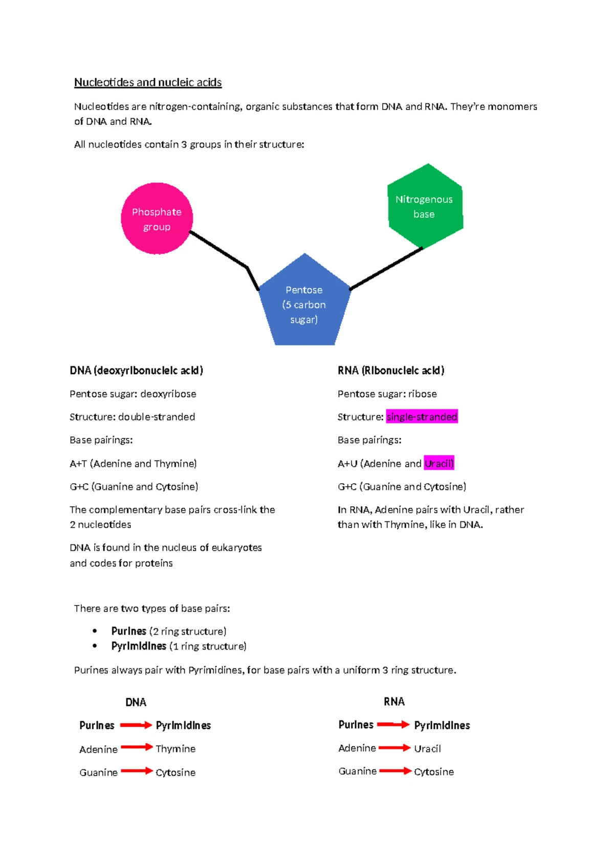 Cell Structure Overview - Biology A Level - AQA 2017-2019 Lecture Notes ...
