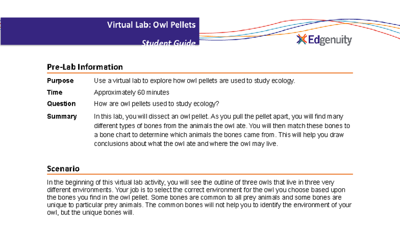 Virtual Lab Guide: Owl Pellets & Ecology Study (60 min) - Studocu