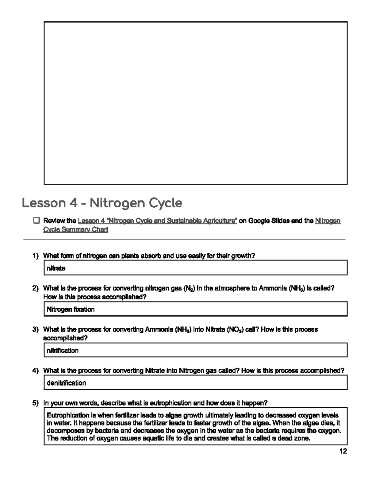 Lesson 4: Nitrogen Cycle Review & Eutrophication Insights - Studocu