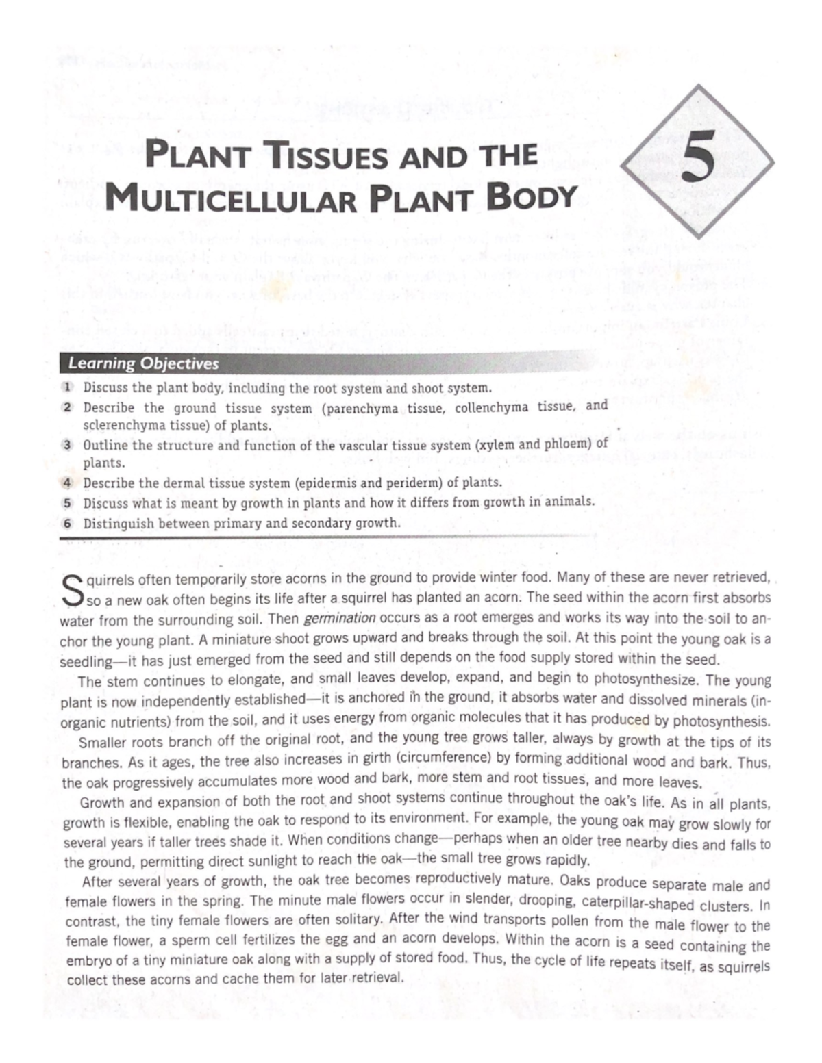 Botany Module 5 - the structure and function of the vascular tissue ...