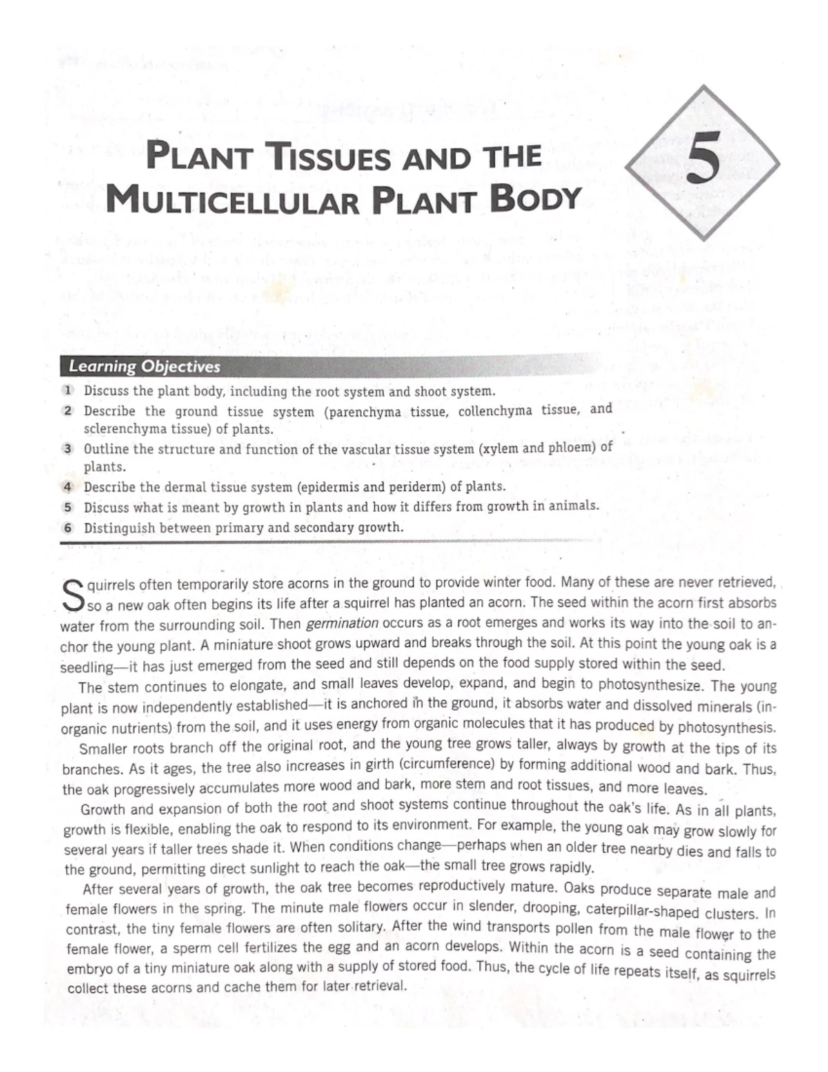 Butuan - history about first mass in the philippines - BUTUAN AS FIRST ...