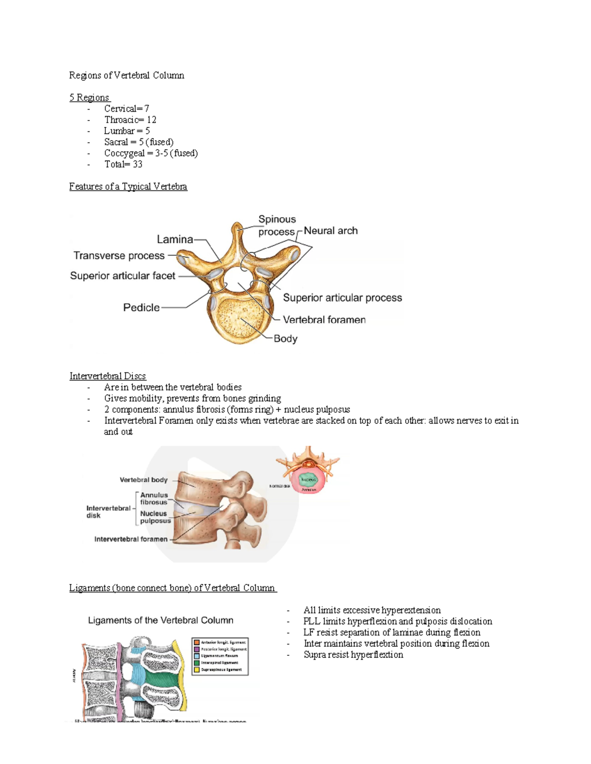 Lab 2 - Lab 2 week 2 notes - Regions of Vertebral Column 5 Regions ...