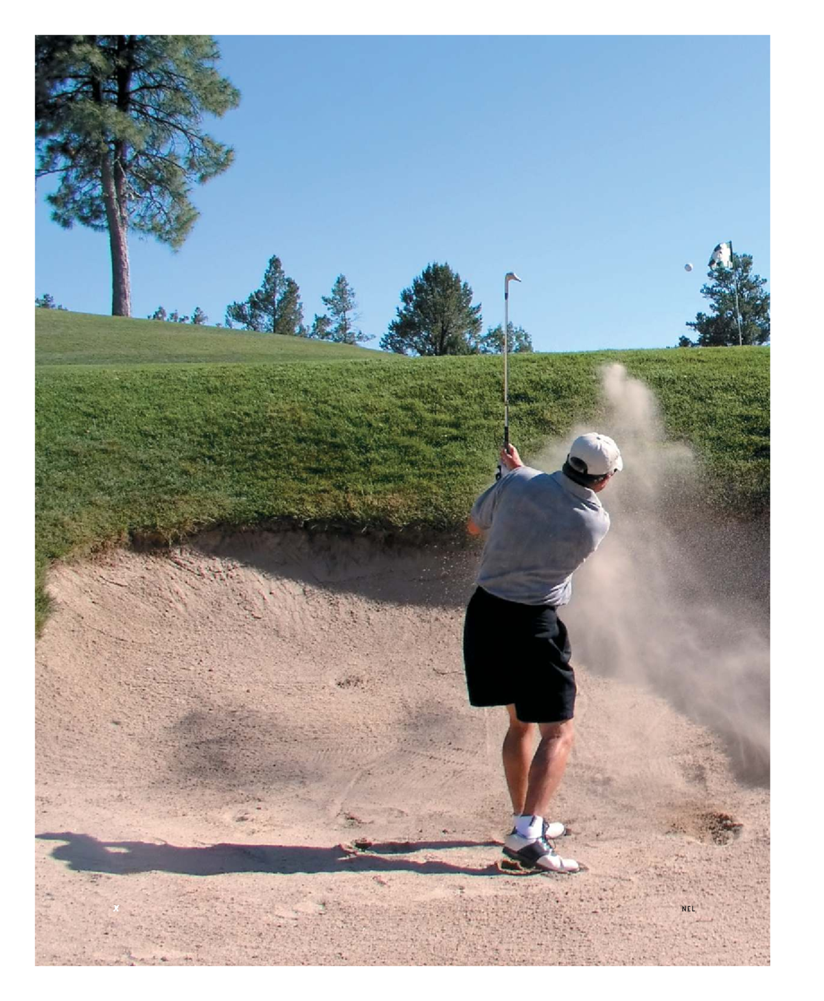 NEL Chapter 1: Properties and Characteristics of Functions - Studocu