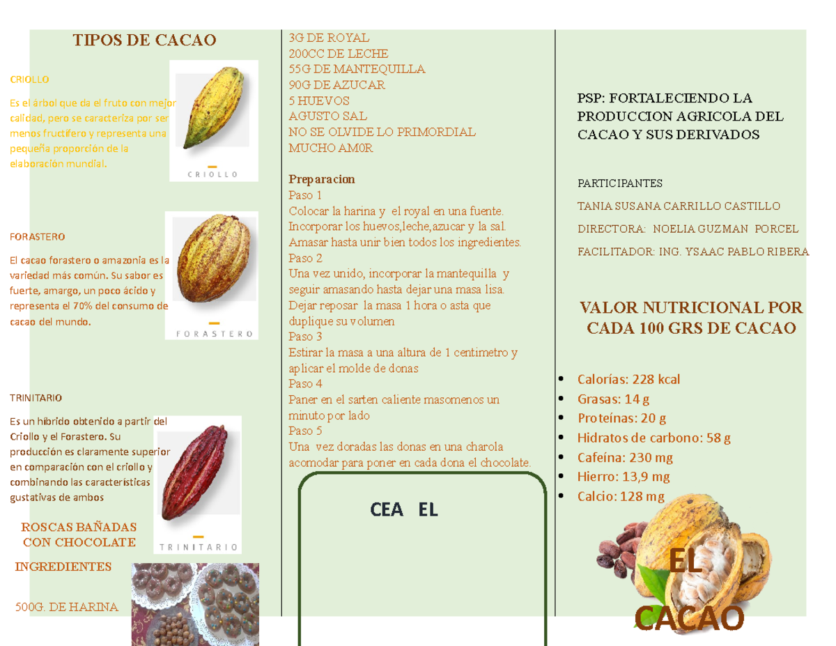 Guia Completa sobre el Cacao y sus Usos en Repostería - Studocu