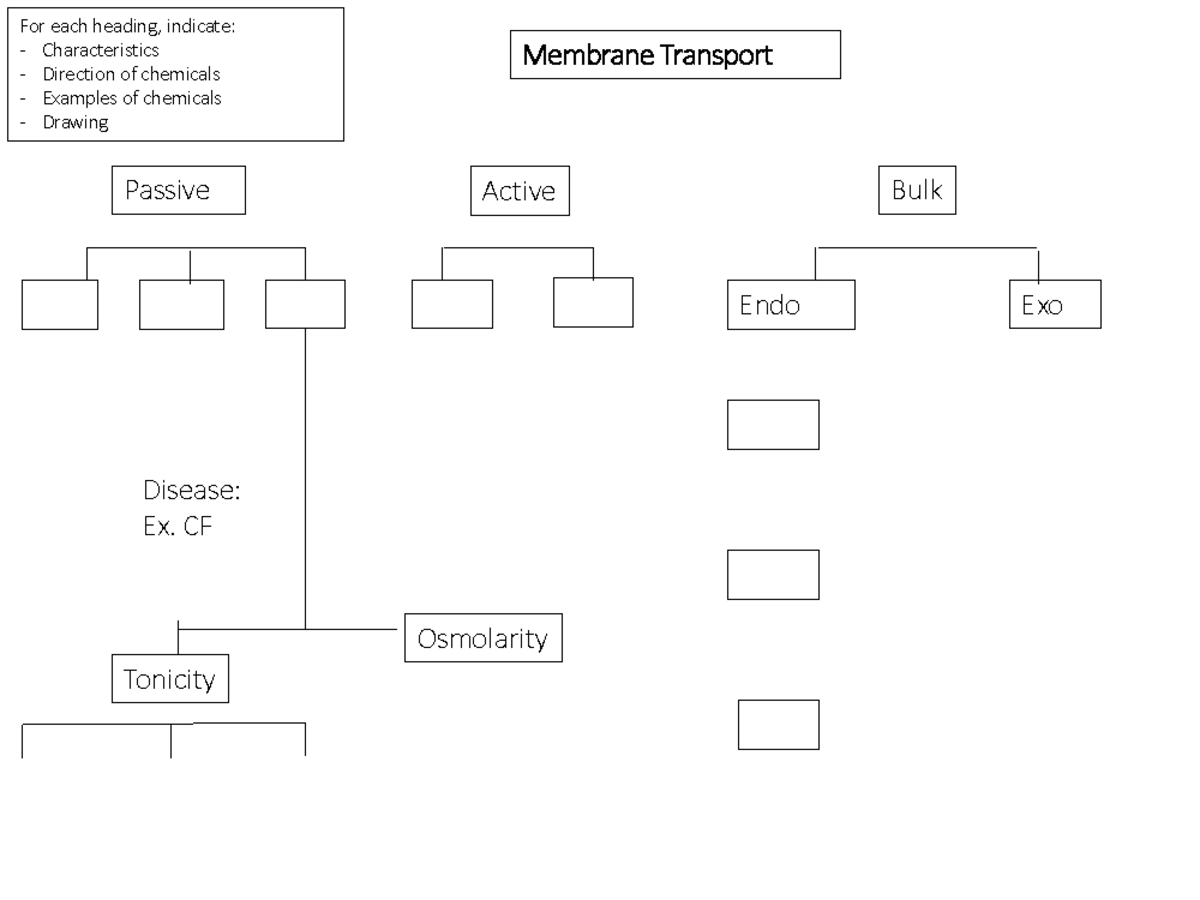 Concept Map Membrane Transport ccf243d8f41173 a4821b5e682d050e5f - BIOL ...