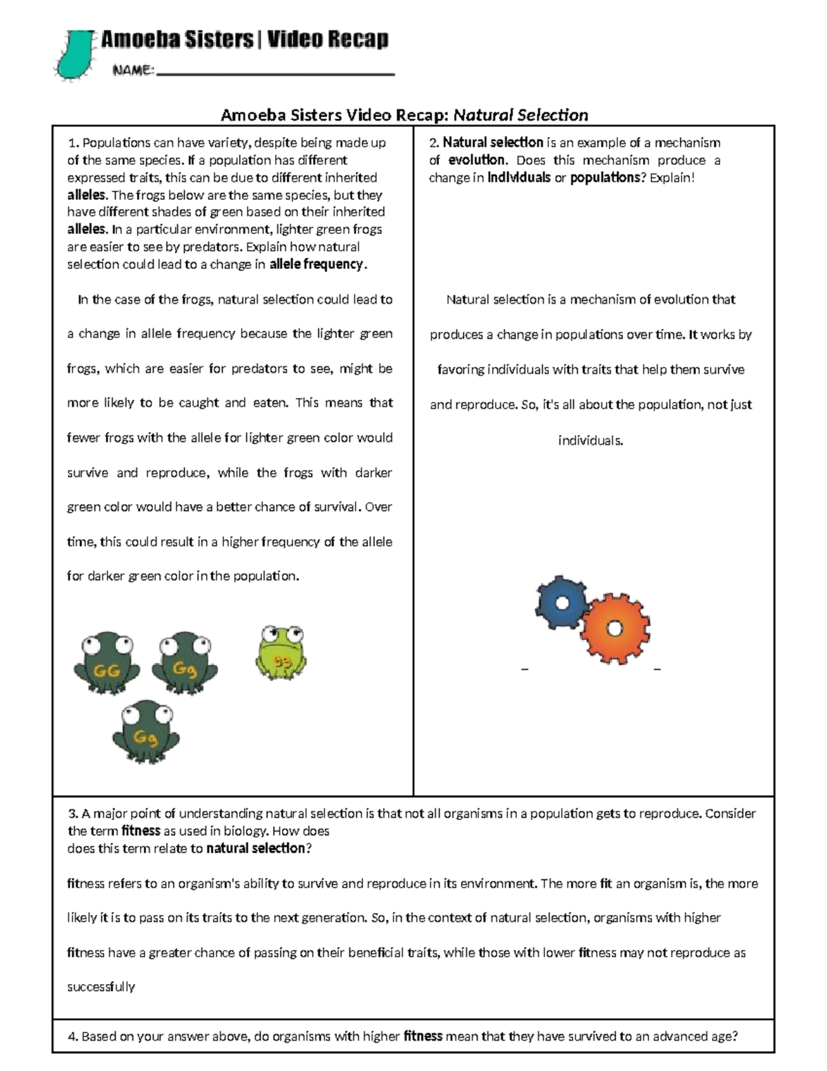 Amoeba Sisters - Natural Selection Video Recap Answer Key - Studocu