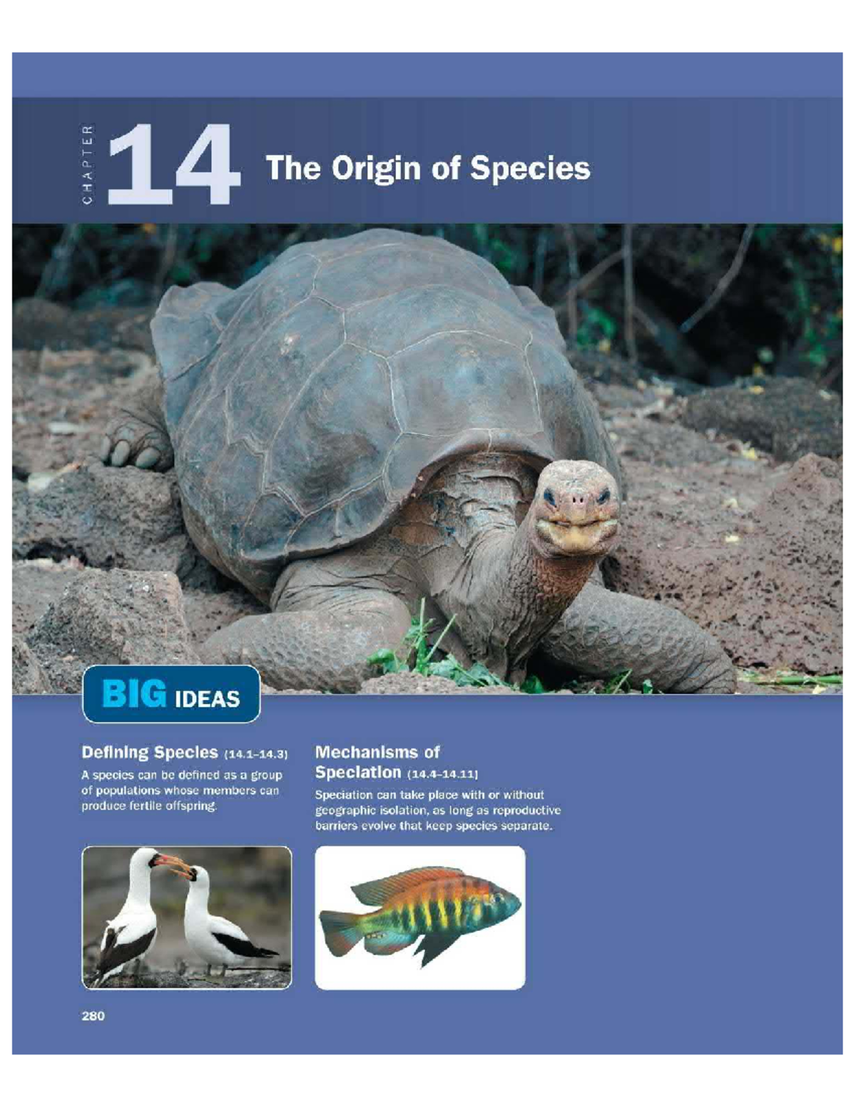 Long-Term Studies on Speciation and Evolution of Darwin's Finches (BIO ...