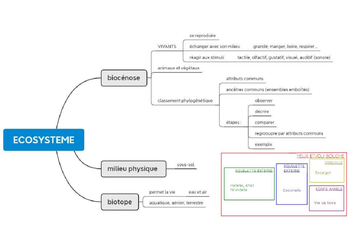 1C-2C Map - Preparation Notes on Trophic Levels and Reproduction - Studocu