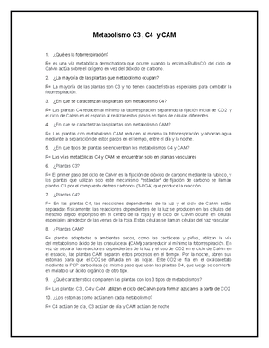 FT Cybor 40 WP - Ficha técnica - Última modificación: 04 /0 1 /20 21 ...