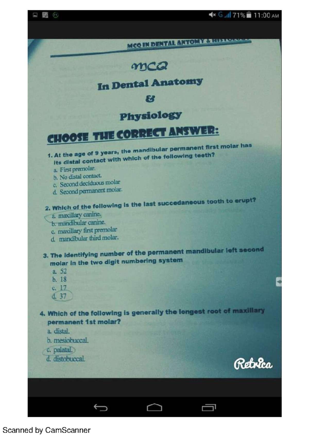 Dental Anatomy Multiple Choice Questions (MCQs) - Studocu