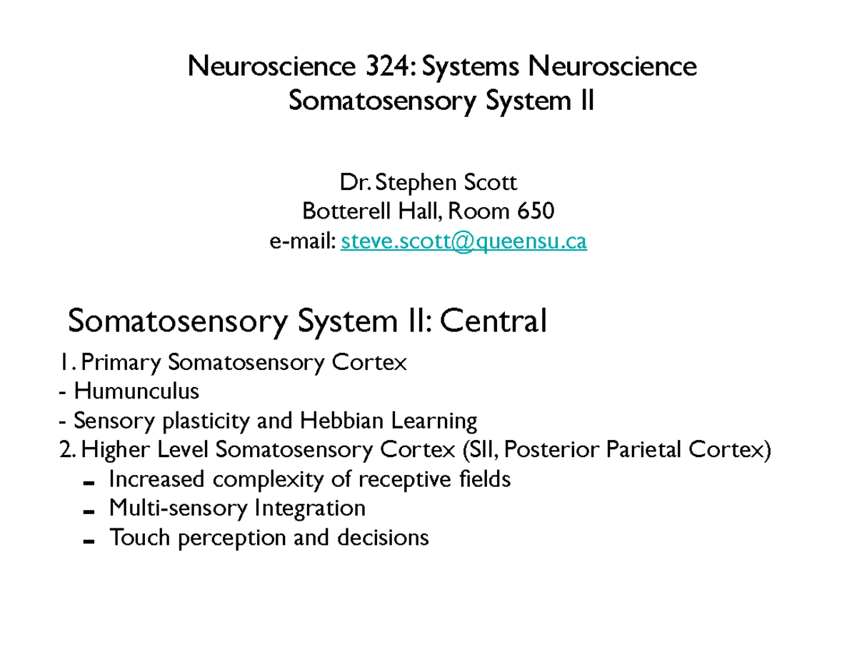 NSCI 324: Lecture 3 - Somatosensory System II Overview - Studocu