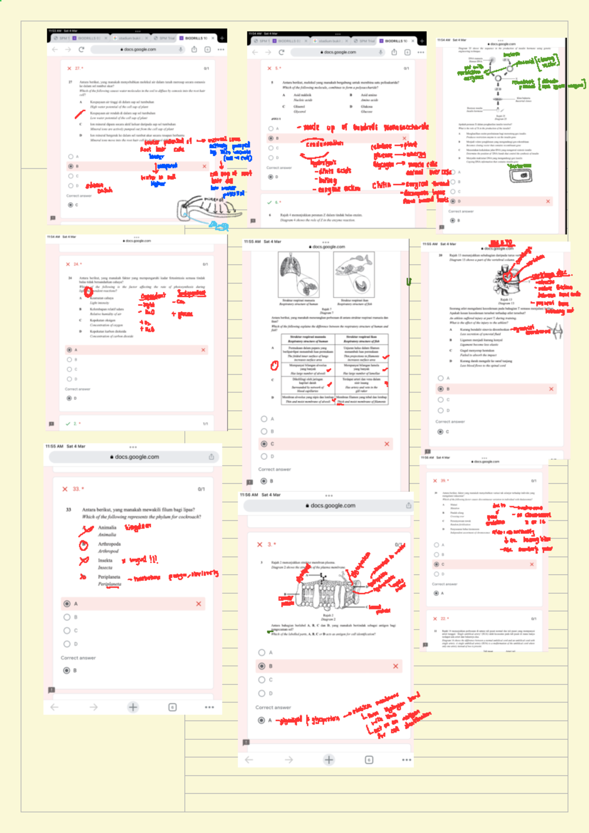 Form 4 Biology Objective Questions & Answers: SPM Trial Insights - Studocu