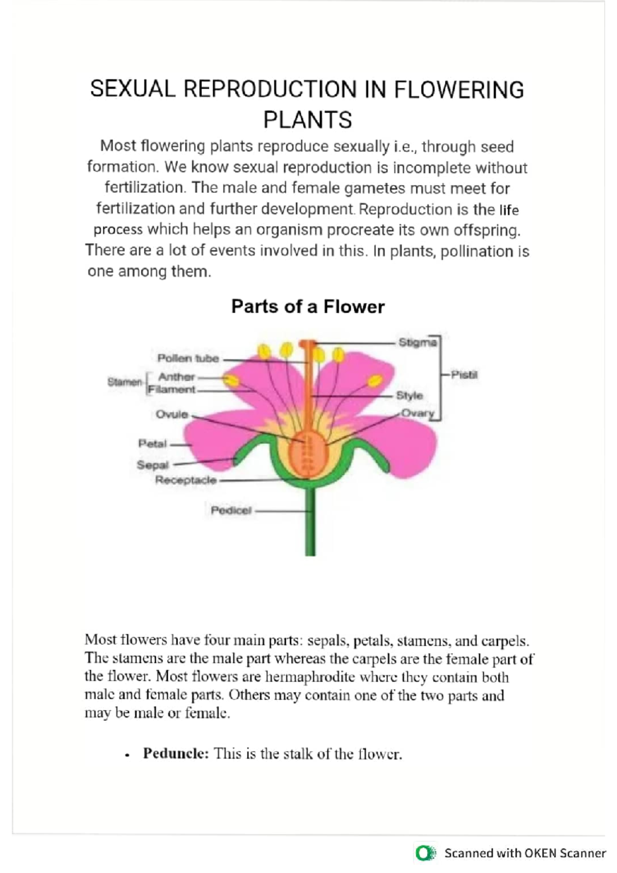 SEXUAL REPRODUCTION IN FLOWERING PLANTS: POLLINATION TYPES & PROCESSES ...