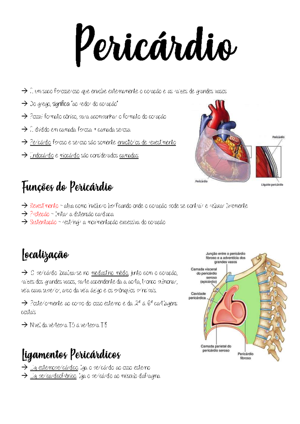 6- Pericárdio - 6- Pericárdio - Pericárdio É um saco fibrosseroso que ...