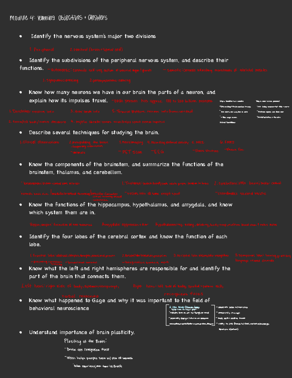 Brain Structure and Function: Module 4 Learning Objectives & Answers ...