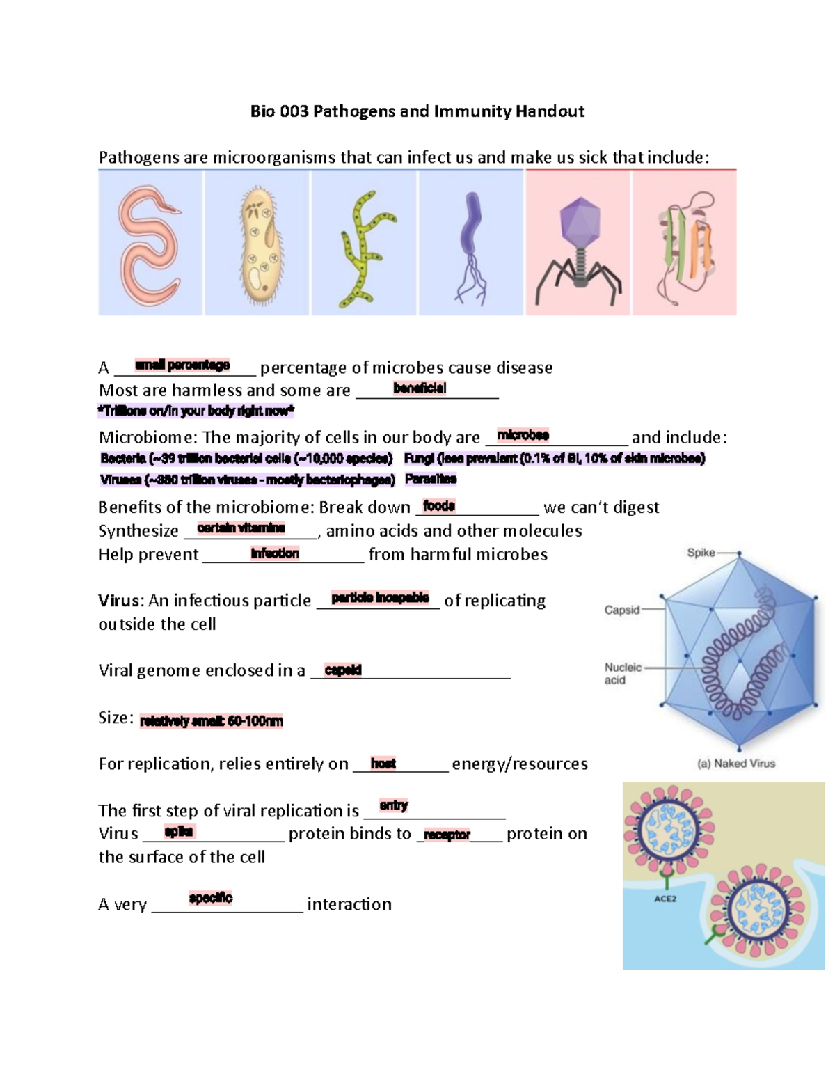Bio 003: Immunology and the Immune Response Overview Handout - Bio 003 ...