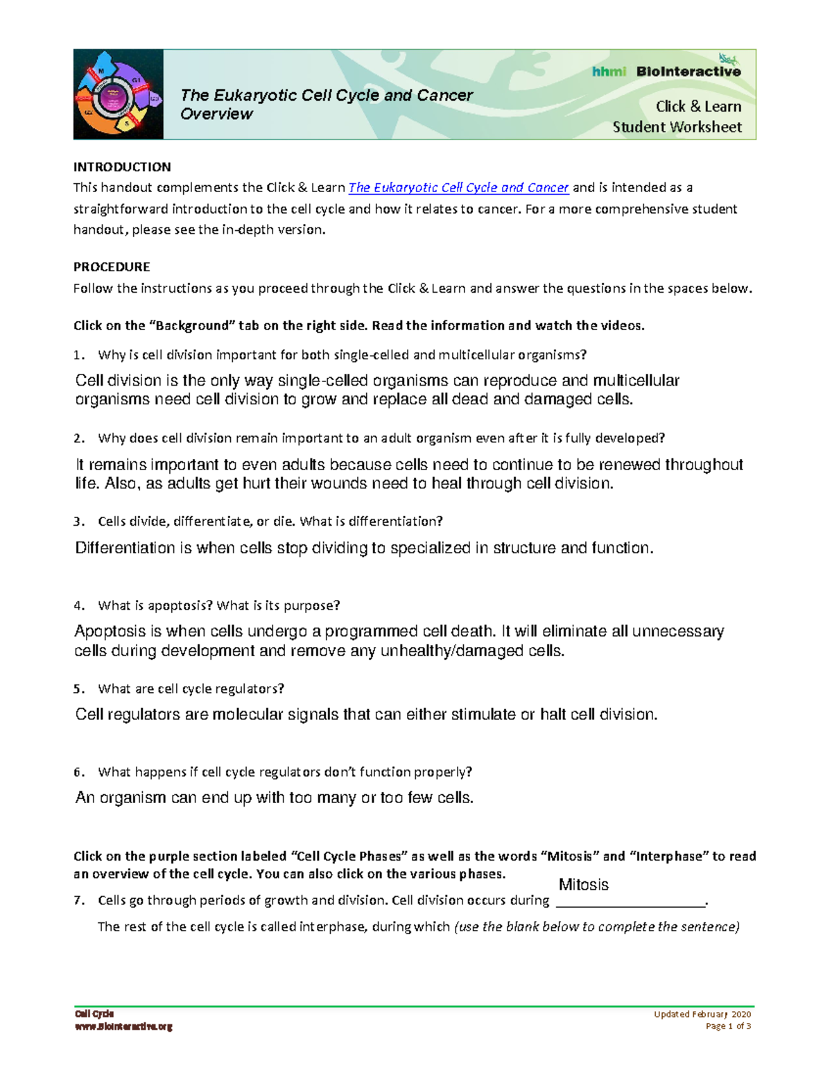Cell Cycle Overview-Student WS-CL - The Overview Eukaryotic Cell Cycle ...