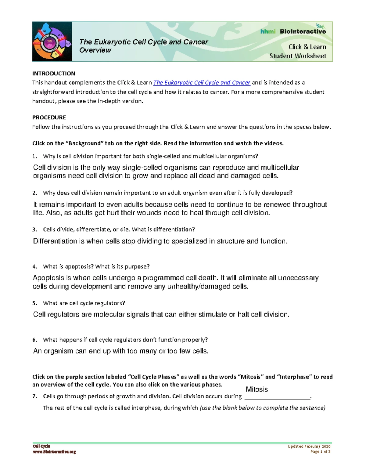 Cell Cycle Overview-Student WS-CL - The Overview Eukaryotic Cell Cycle ...