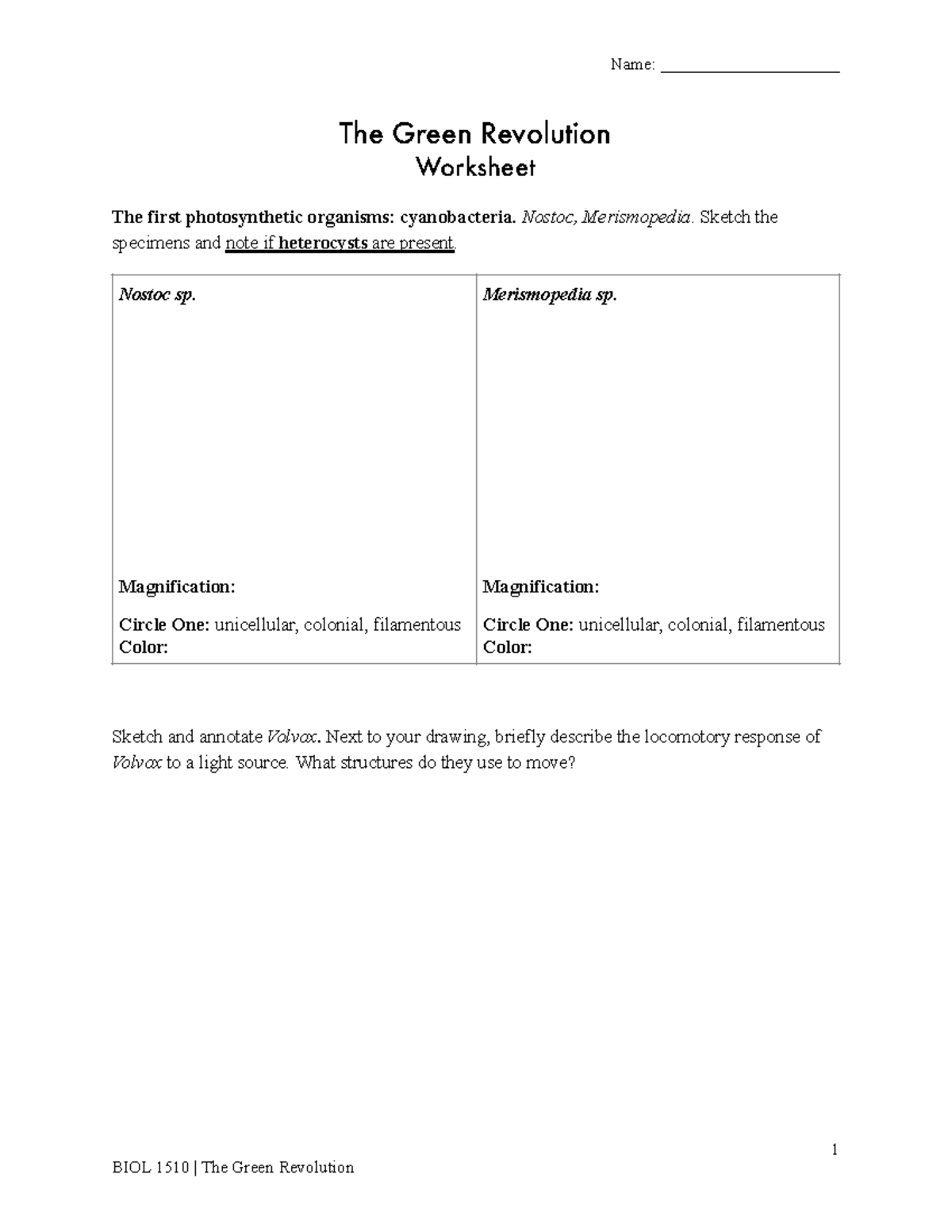 Green Revolution Worksheet - Name: _____________________ The Green ...
