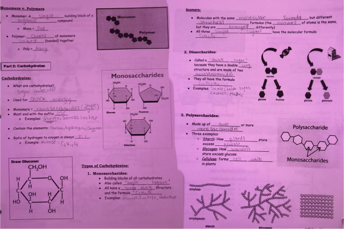 Final Exam Review Guide for Course 101: Monomers and Polymers - Studocu