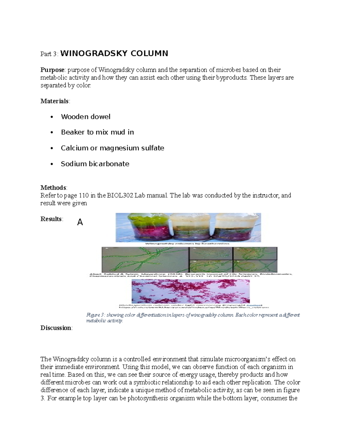 BIOL302 Lab: Winogradsky Column Experiment & Microbial Interaction ...